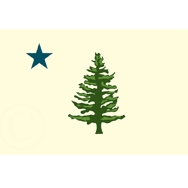 1901 MAINE STATE FLAG - Alan Claude Gallery