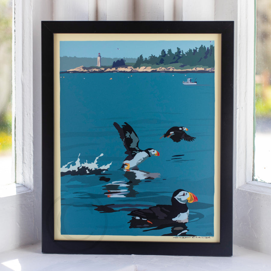Puffins At Franklin Island Art Print 8" x 10" Framed Wall Poster By Al ...